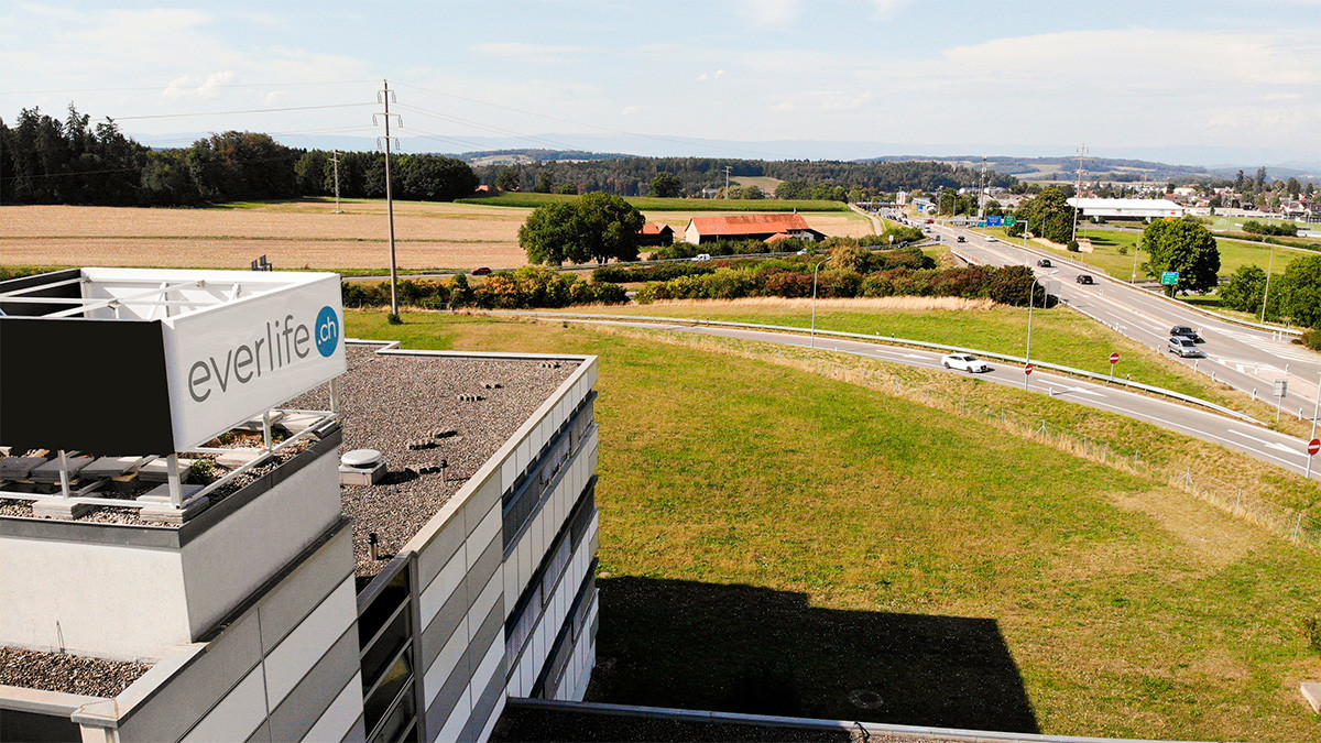 Everlife : notre histoire